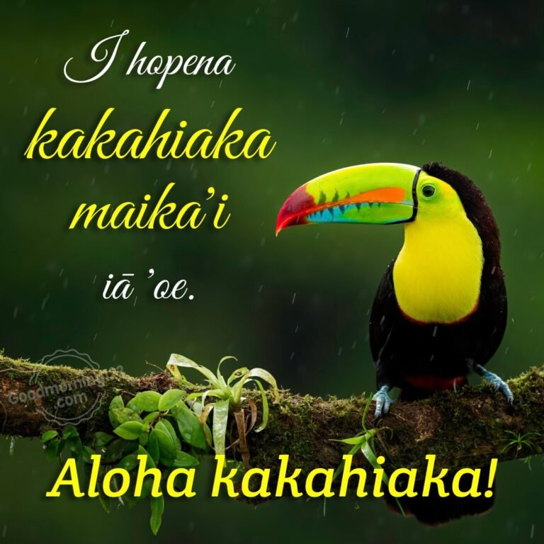 80+ Good Morning Wishes Images In Hawaiian With English Translation