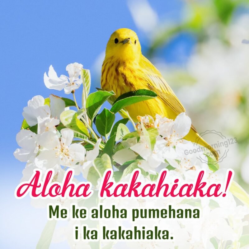 80+ Good Morning Wishes Images In Hawaiian With English Translation