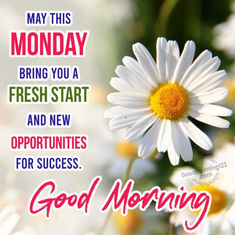 110+ Amazing Monday Morning Wishes, Images And Gifs