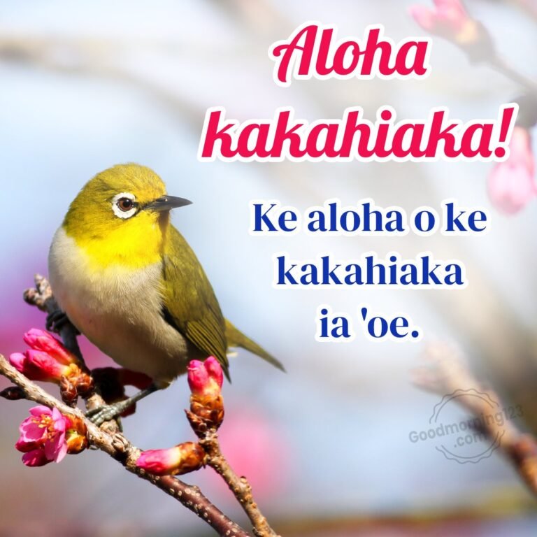 80+ Good Morning Wishes Images In Hawaiian With English Translation