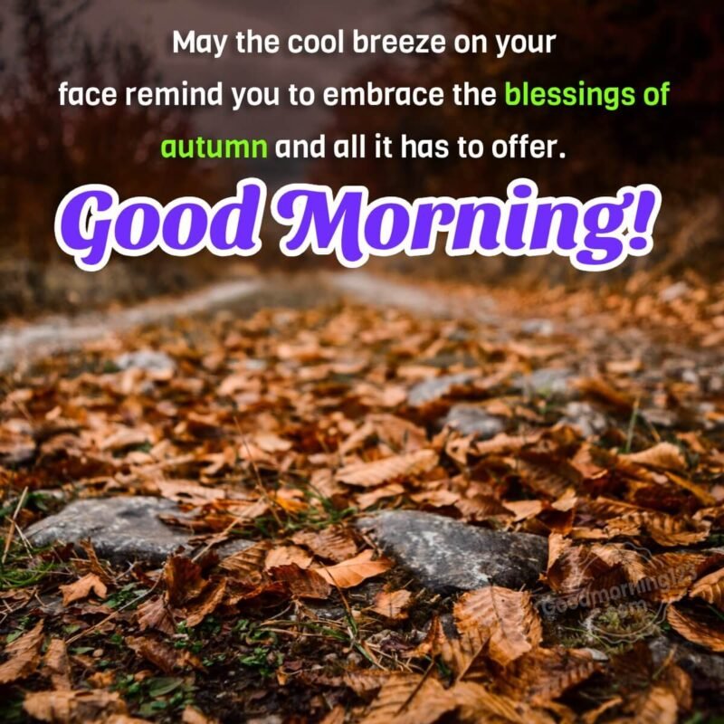 90+ Good Morning Fall Images And Gifs
