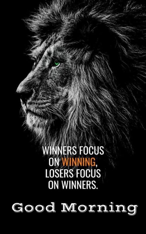 60+ Roaring Lion Good Morning Images & GIFs