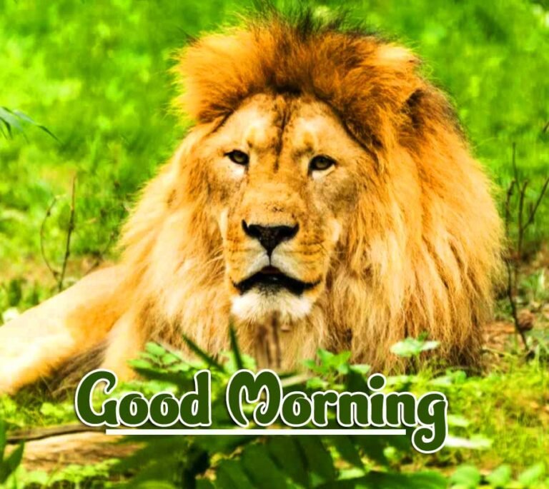 60+ Roaring Lion Good Morning Images & GIFs
