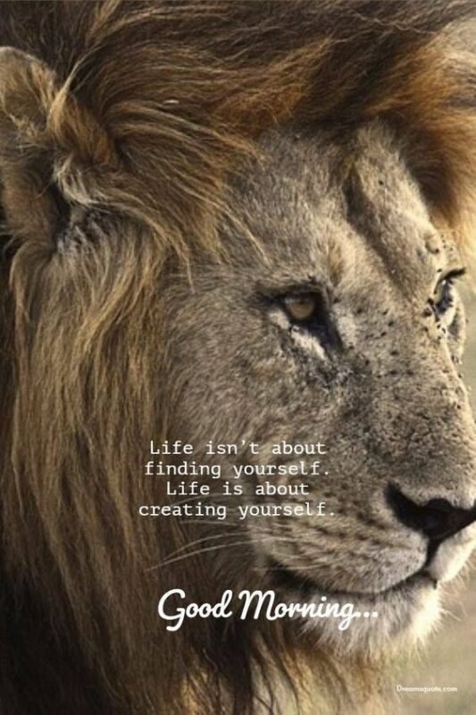 60+ Roaring Lion Good Morning Images & GIFs