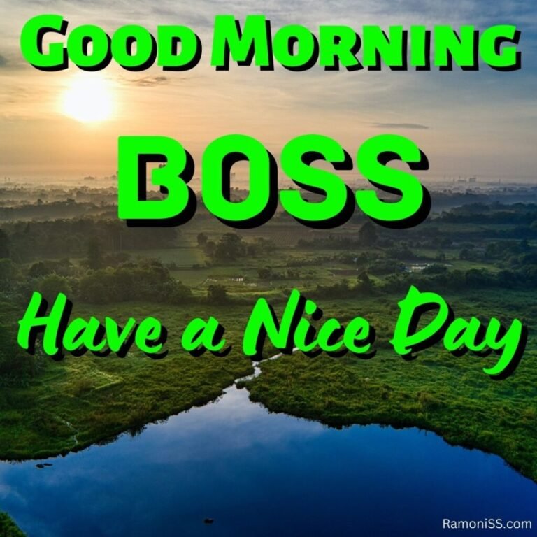 Professional Courtesy: Good Morning Images and Wishes for Boss