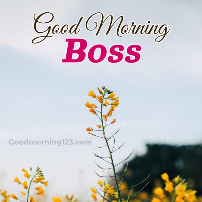 Professional Courtesy: Good Morning Images and Wishes for Boss