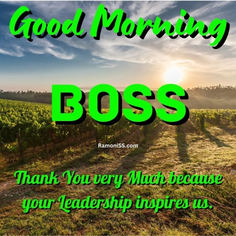 Professional Courtesy: Good Morning Images and Wishes for Boss