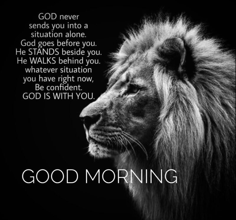 60+ Roaring Lion Good Morning Images & GIFs