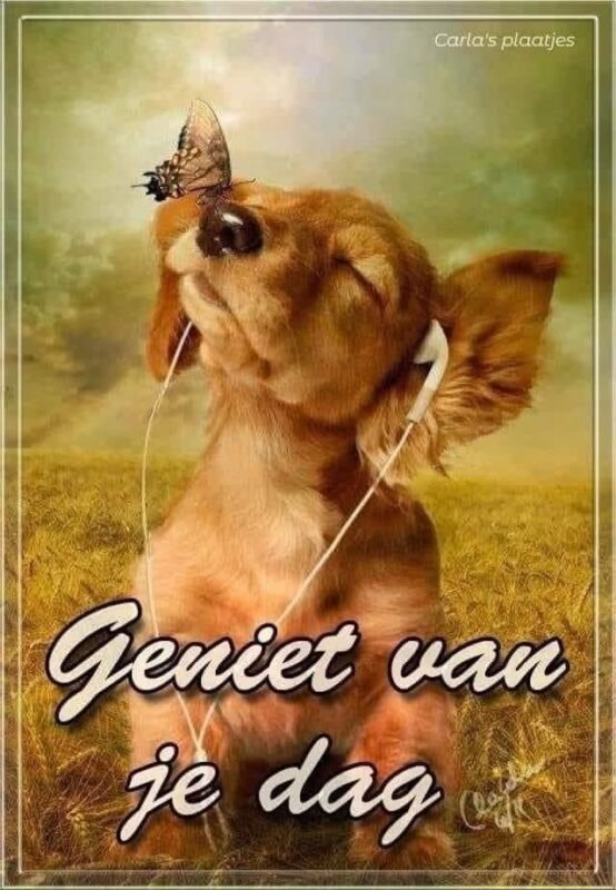 Good Morning Dutch Images, Wishes & Greetings