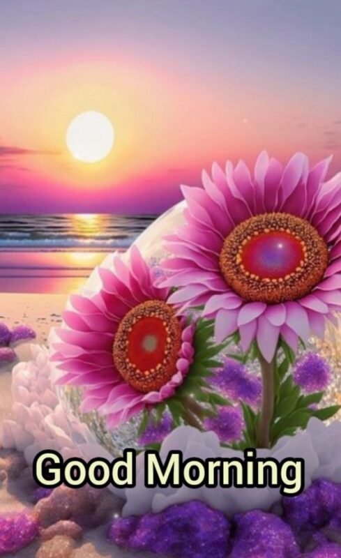 Good Morning Pink Flower Images, Wishes & Greetings