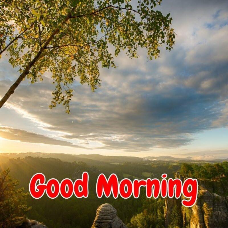 Good Morning Landscape Images, Wishes & Greetings