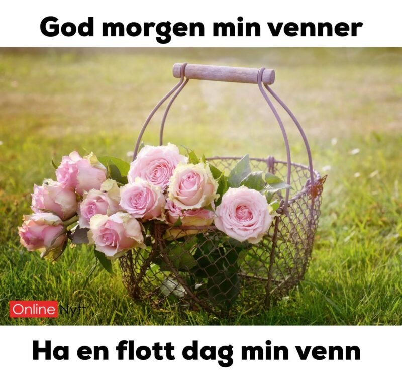 Good Morning Norwegian Images, Wishes, Greetings & GIFs