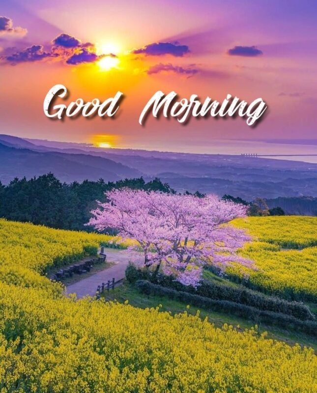 Good Morning Garden Flowers Images