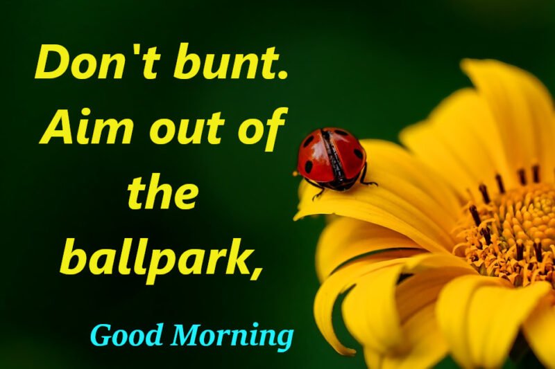 Good Morning Ladybug: Welcoming the Daylight