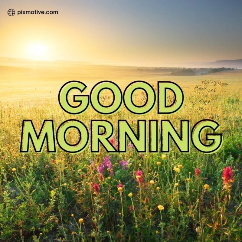Good Morning Landscape Images, Wishes & Greetings