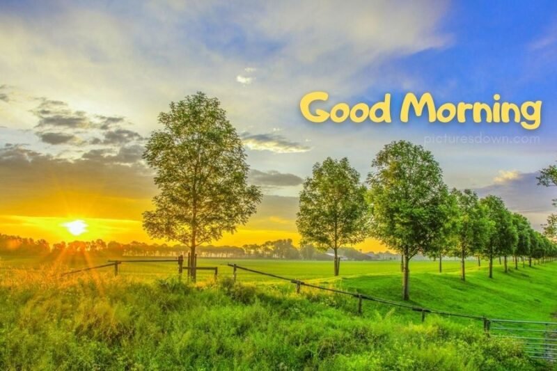 Good Morning Landscape Images, Wishes & Greetings