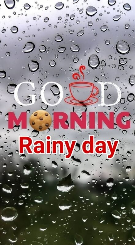 Good Morning Rain Drop Images