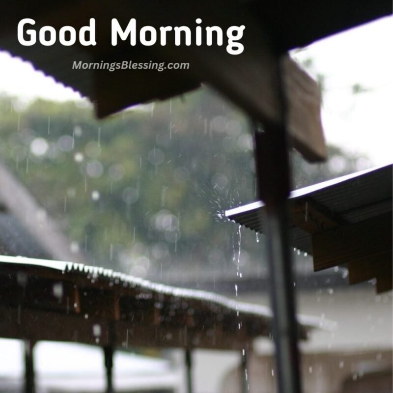 Good Morning Rainy Images - Good Morning Images - Good Morning Wishes