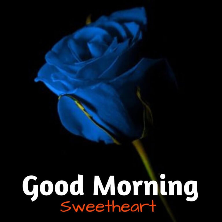 Good Morning Blue Rose Images & GIFs