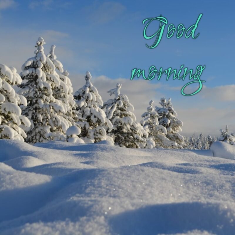Good Morning Winter Images, Wishes, Greetings & GIFs