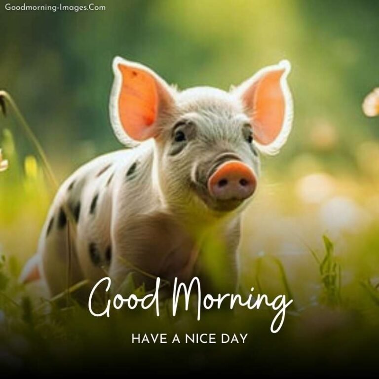 Cuteness Overload With Good Morning Piggy Pics And GIFs