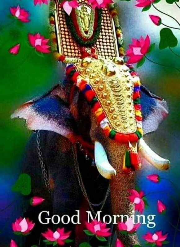 40+ Elephant Good Morning Pics - Good Morning Images - Good Morning Wishes