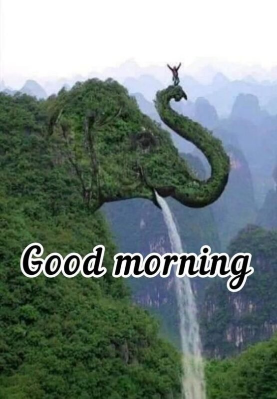 40+ Elephant Good Morning Pics