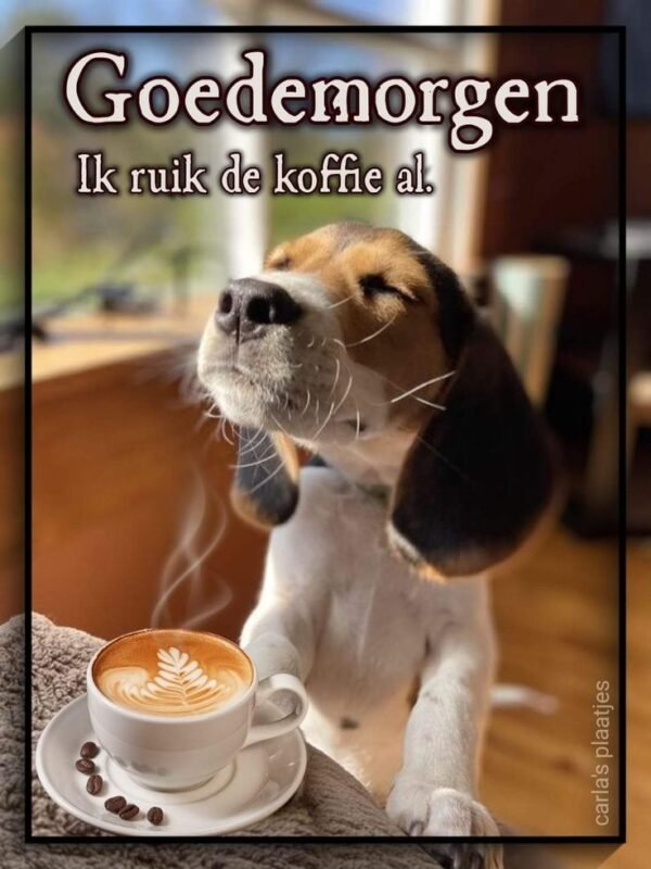Good Morning Dutch Images, Wishes & Greetings