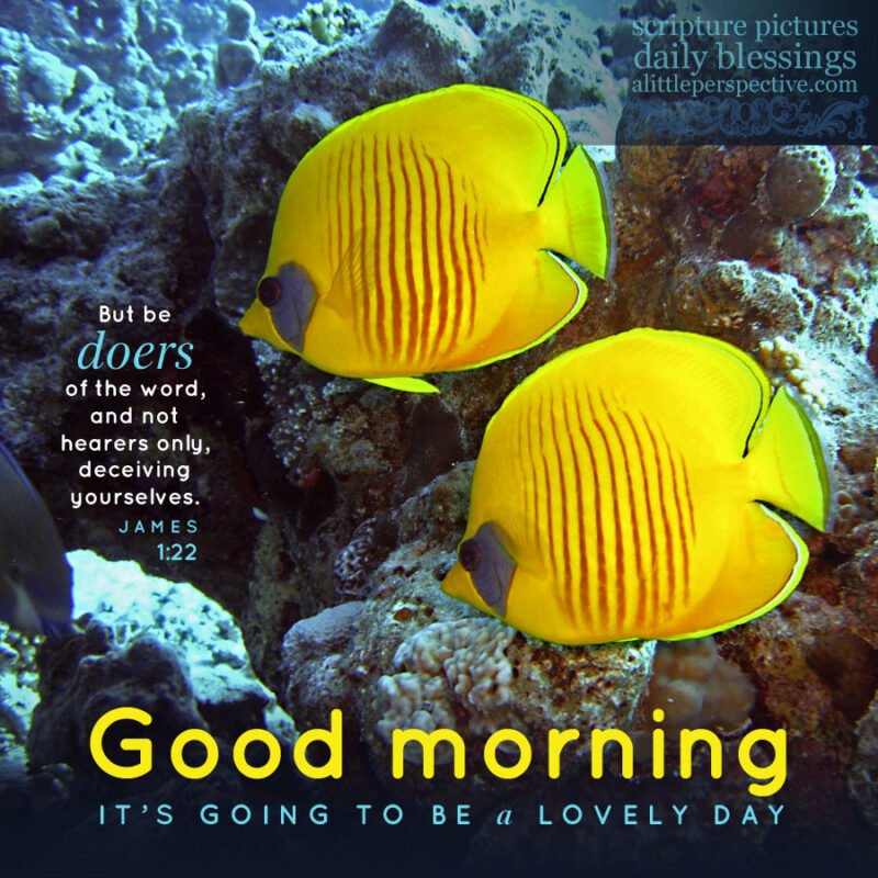 Fish-themed Good Morning Images & GIFs