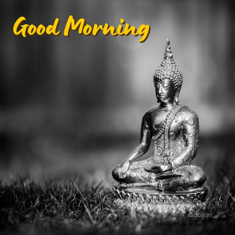 Good Morning Buddha Images, Wishes & Greetings