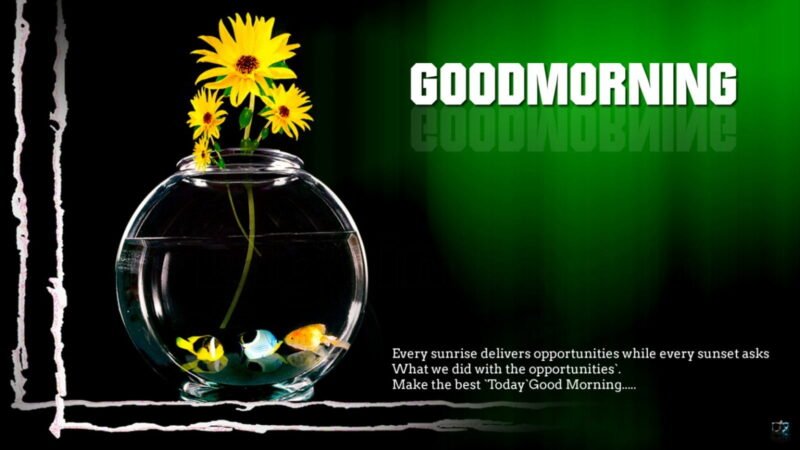 Fish-themed Good Morning Images & GIFs