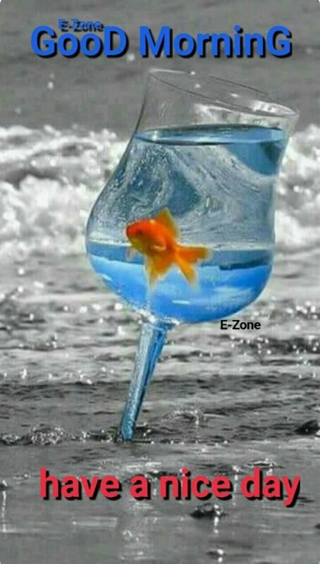 Fish-themed Good Morning Images & GIFs
