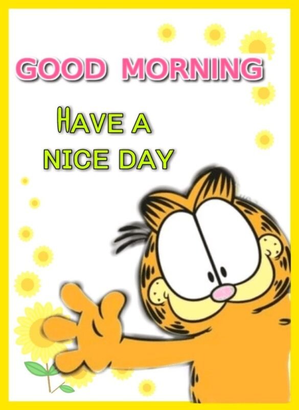 Good Morning Garfield Images And GIFs