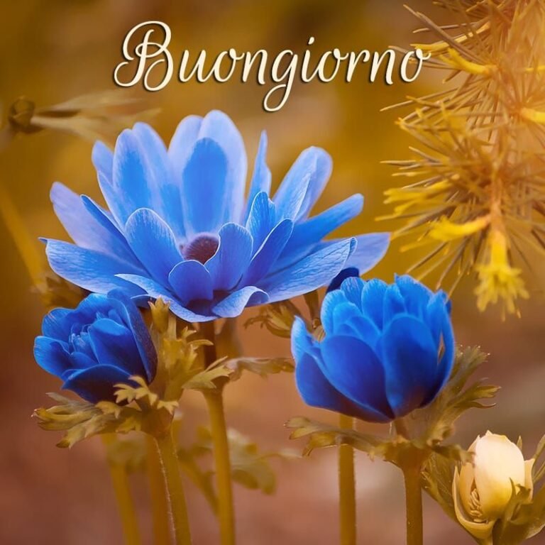 Good Morning Italian Images, Wishes & Greetings