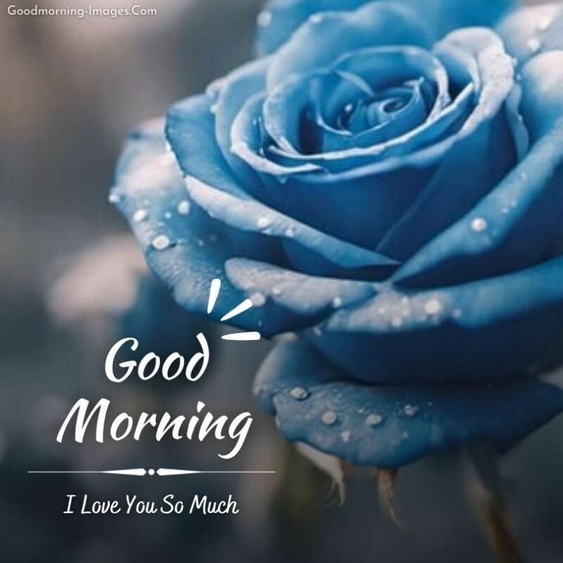 Good Morning Blue Rose Images & GIFs