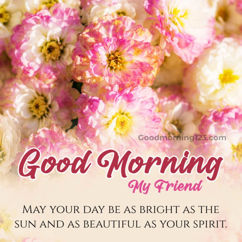 Cheers to Friendship: Good Morning Wishes And Images For Friends
