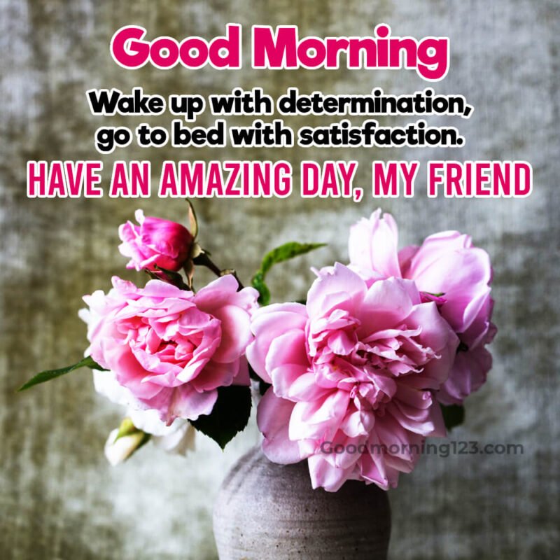Cheers to Friendship: Good Morning Wishes And Images For Friends