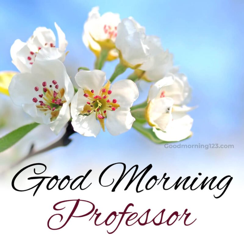 Good Morning Images And Wishes For Respected Professor Good Morning Images And Wishes For Respected Professor