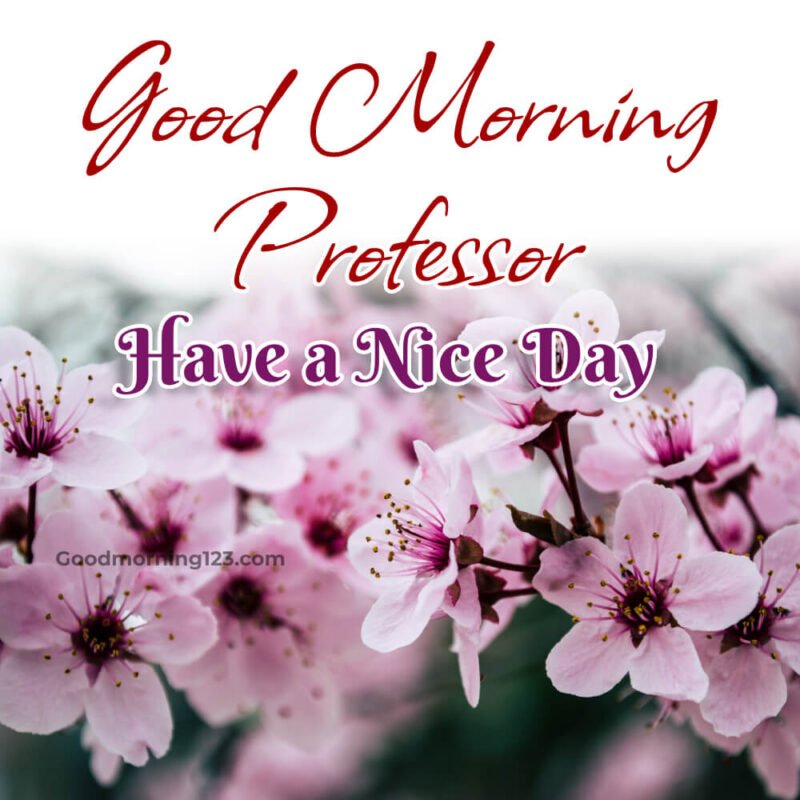 Good Morning Images And Wishes For Respected Professor Good Morning Images And Wishes For Respected Professor