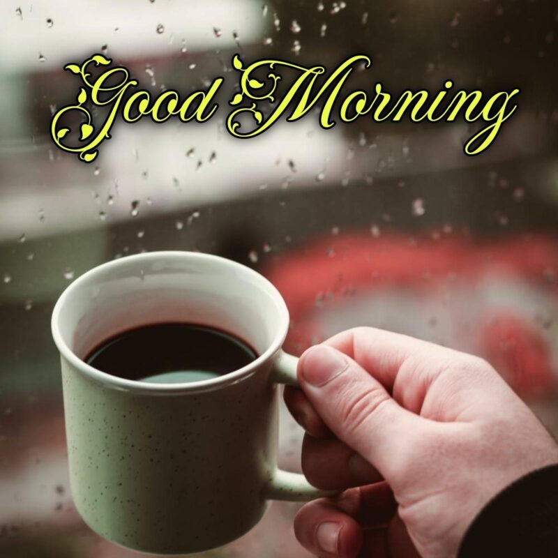 Good Morning Rainy Images - Good Morning Images - Good Morning Wishes