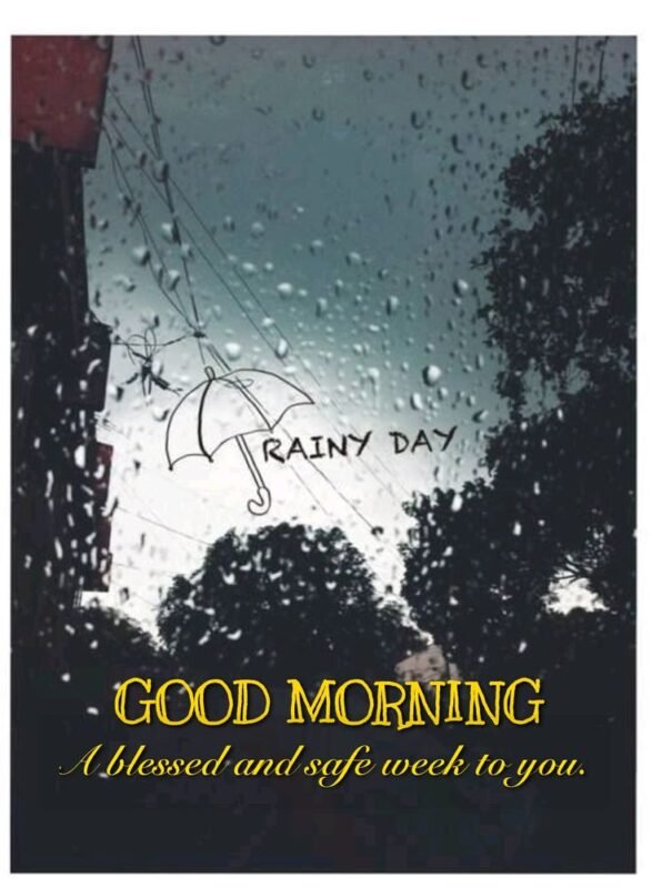 Good Morning Rain Drop Images