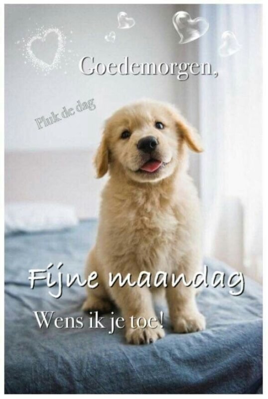 Good Morning Dutch Images, Wishes & Greetings