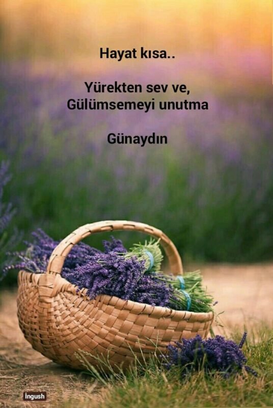 Good Morning Turkish Images, Wishes, Greetings & GIFs