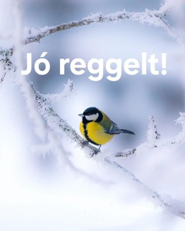 Good Morning Hungarian Images, Wishes & Greetings