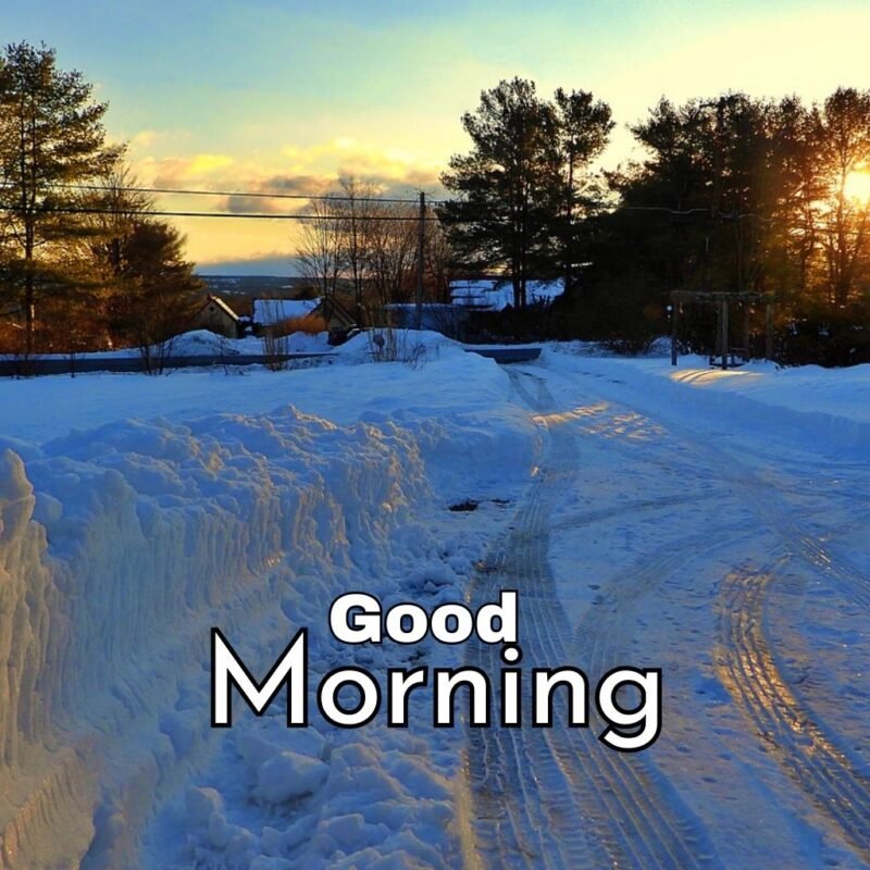 Good Morning Landscape Images, Wishes & Greetings