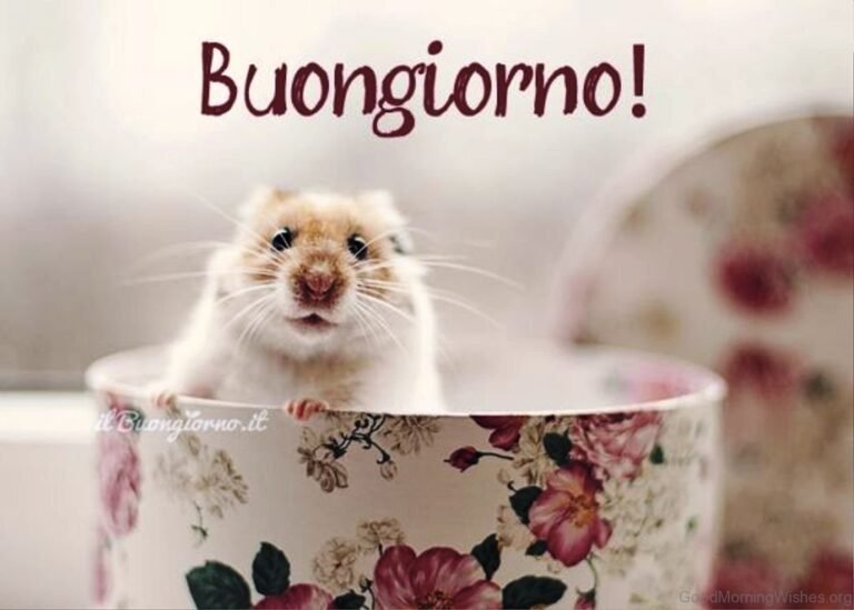 Good Morning Italian Images, Wishes & Greetings