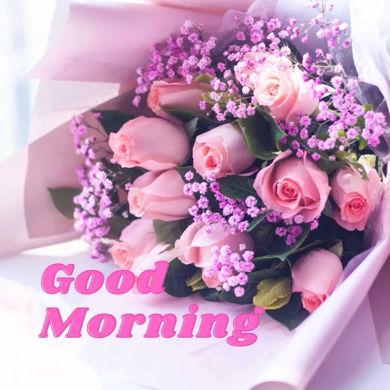 Good Morning Pink Flower Images, Wishes & Greetings