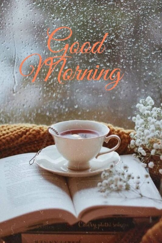 Good Morning Rain Drop Images