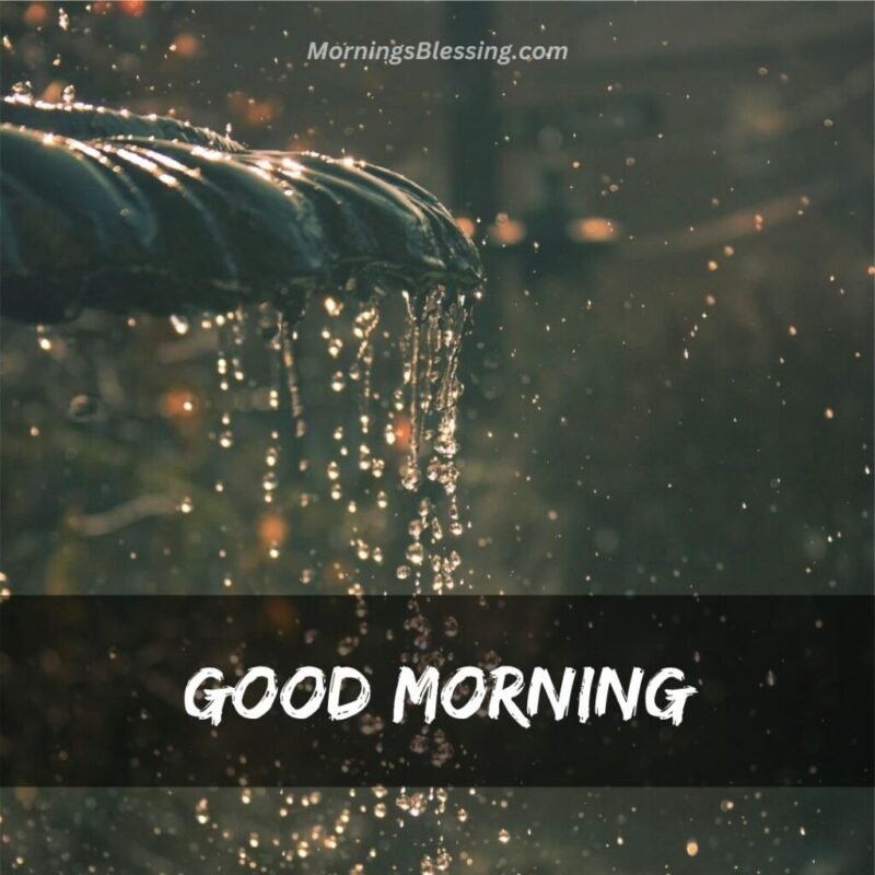 Good Morning Rainy Images - Good Morning Images - Good Morning Wishes