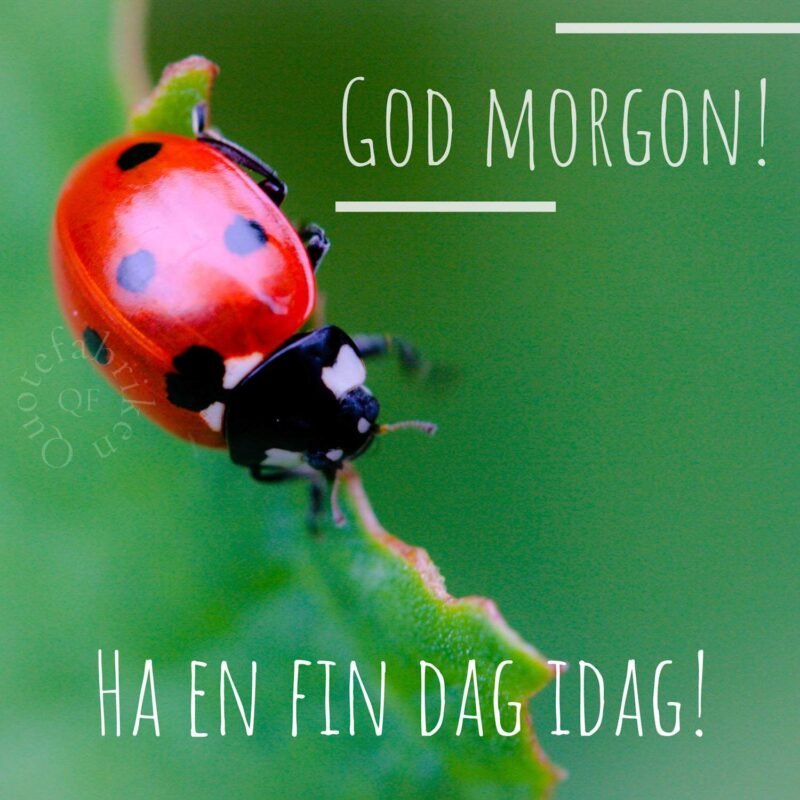 Good Morning Swedish Images, Wishes & Greetings
